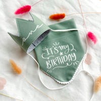 Personalized Dog Bandana Birthday Girl Bandanna for 1st Birthday ...