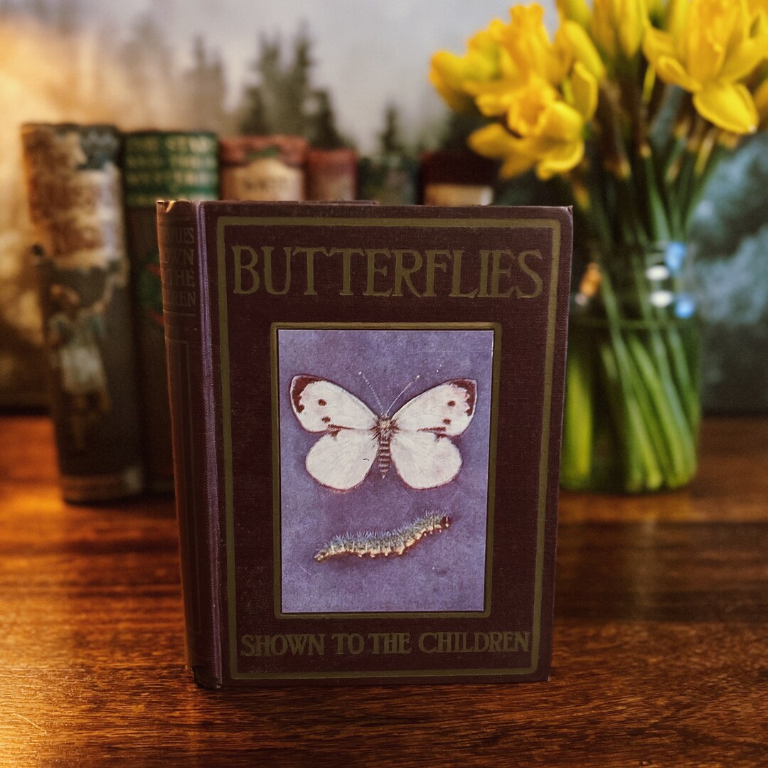 Butterflies and Moths Shown to the Children by Janet Harvey Kelman ...