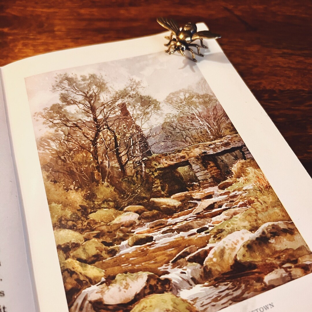 Dartmoor Pictured by Ernest Haslehurst Described by Arthur Salmon 1910 ...