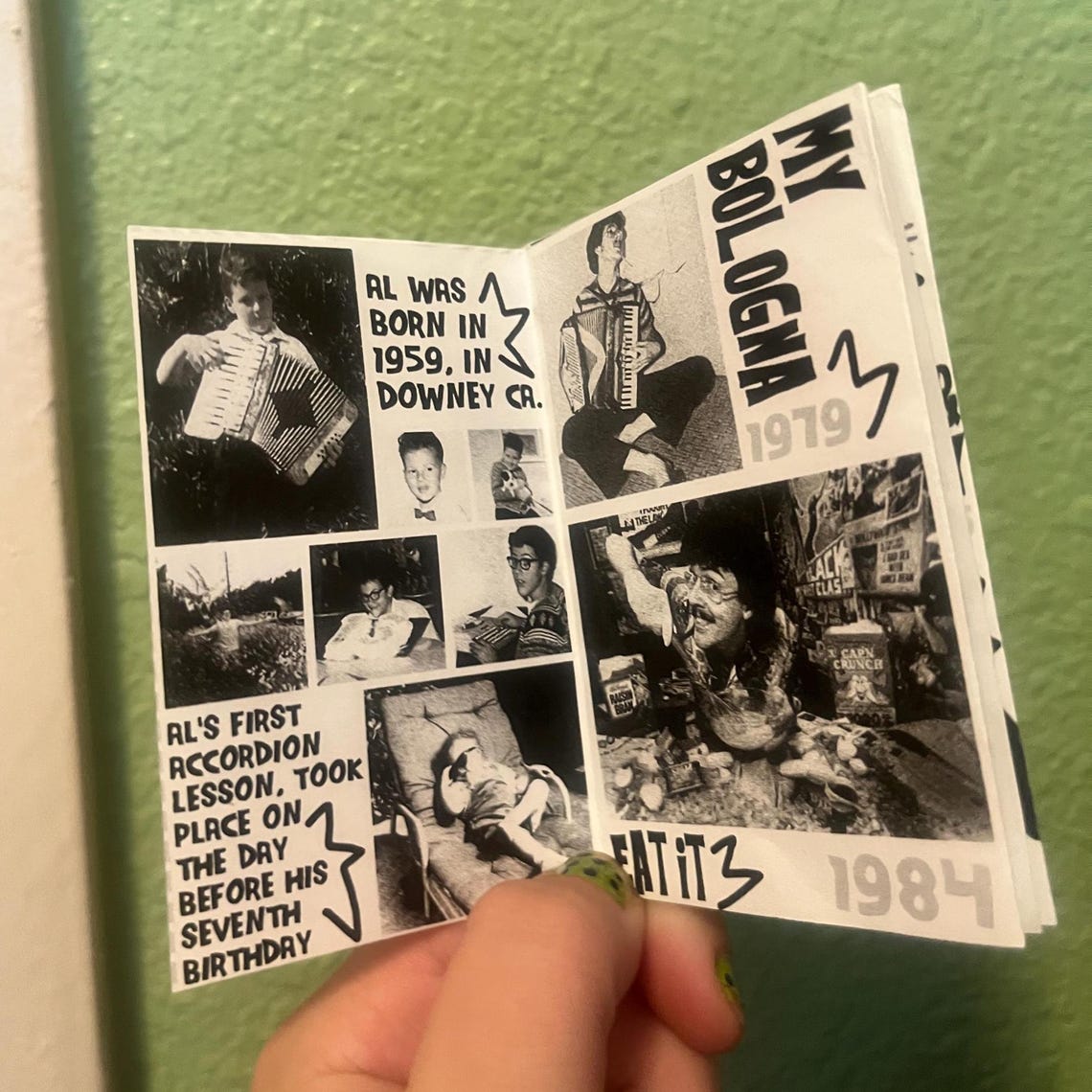 The (unofficial) Weird Al Zine - Printable PDF! - Etsy