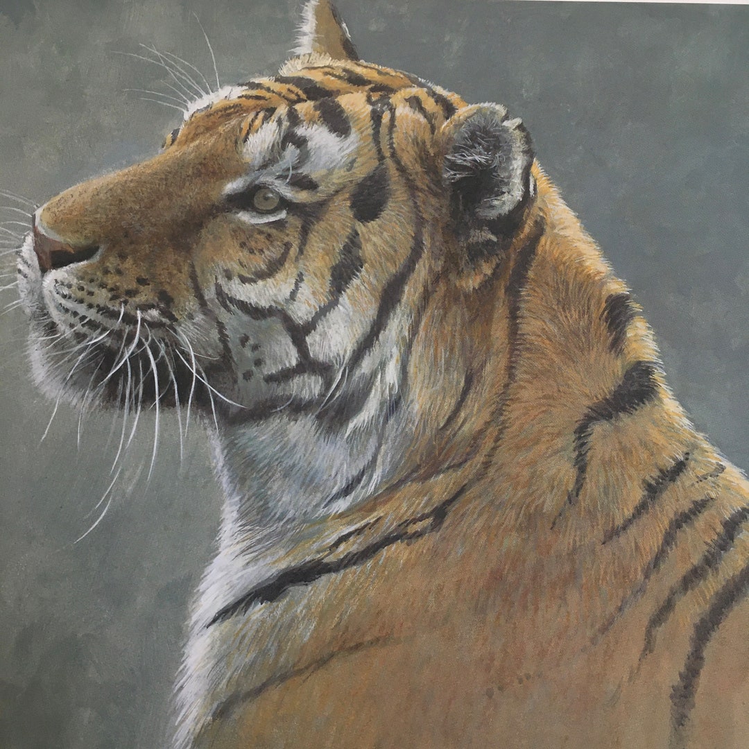 Siberian Tiger-first Alert-limited Edition Print-robert Bateman - Etsy