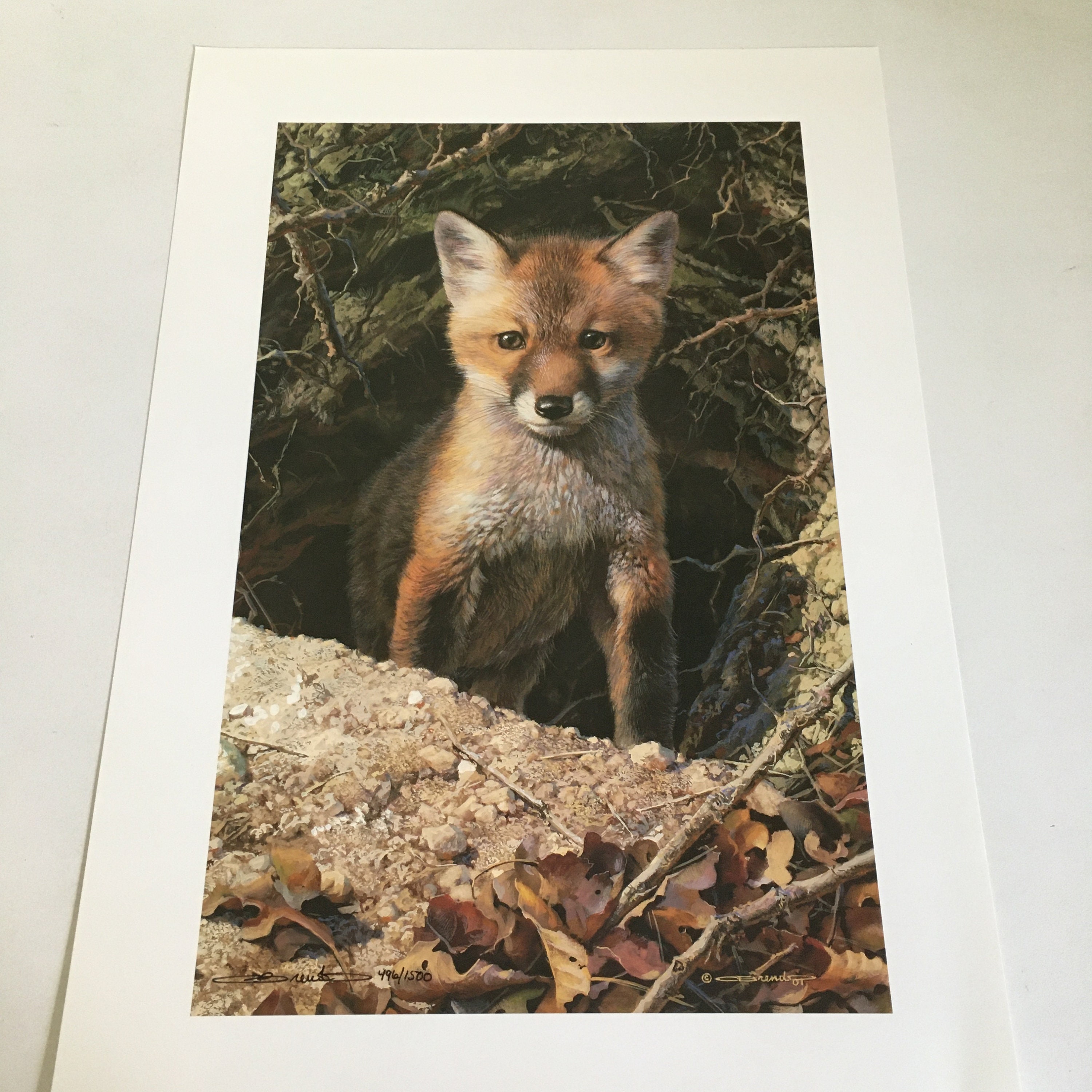 Fox Kit-just Shy of Sly-limited Edition Print-carl Brenders - Etsy