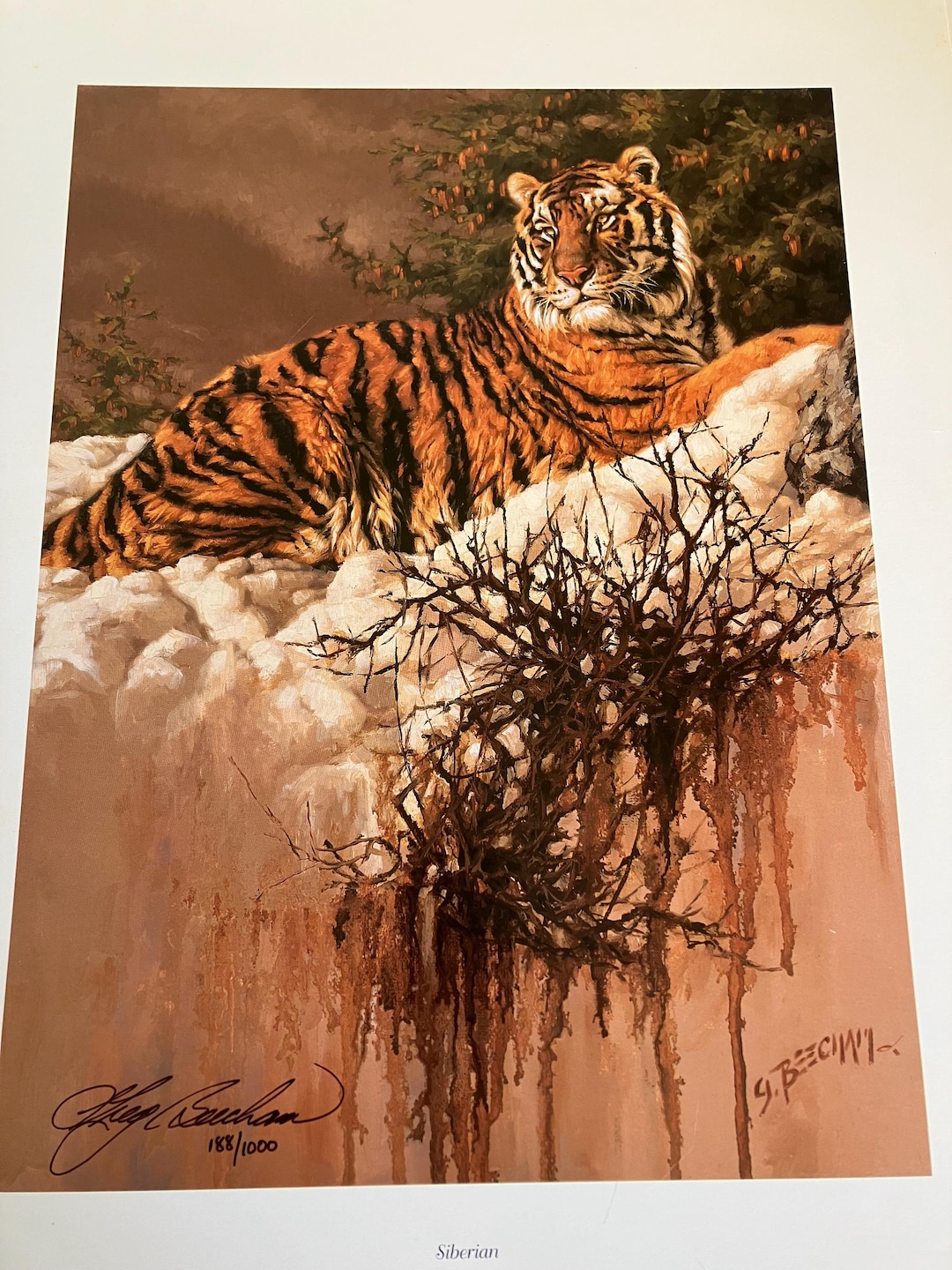 Siberian-limited Edition Print-greg Beecham - Etsy