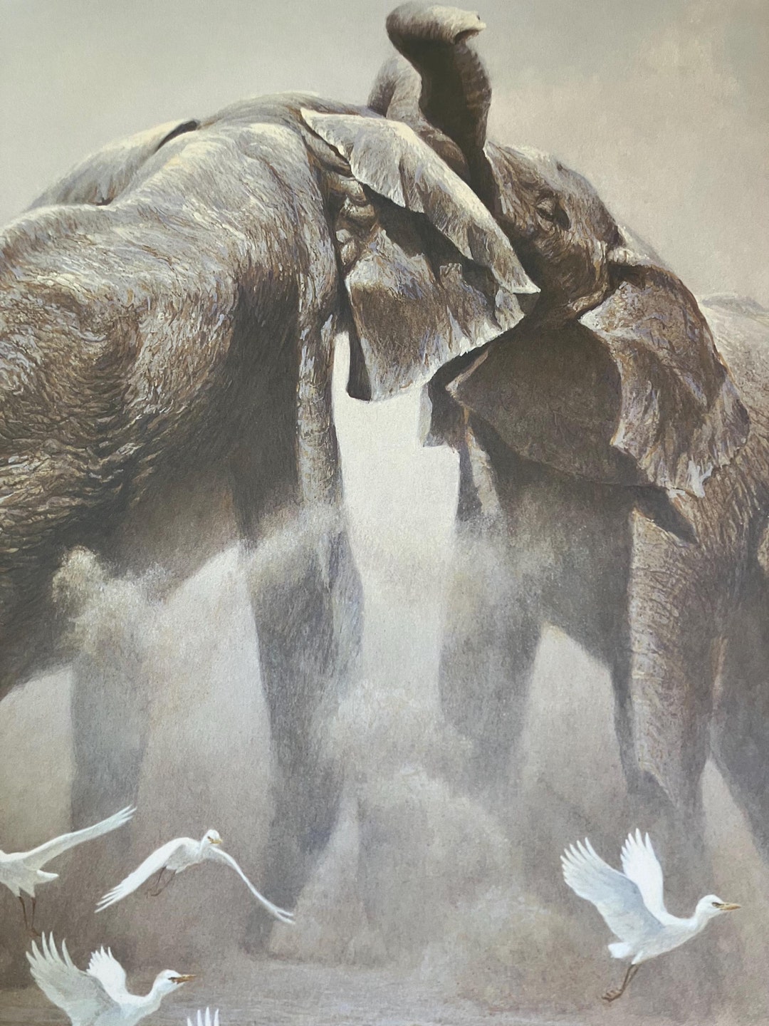 Sparring Elephants-robert Bateman - Etsy