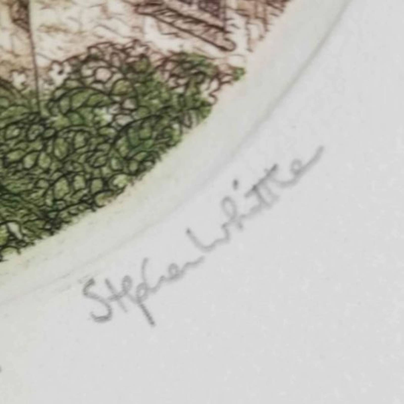 Limited Edition. Stephen Whittle Signed Numbered Etching - Etsy