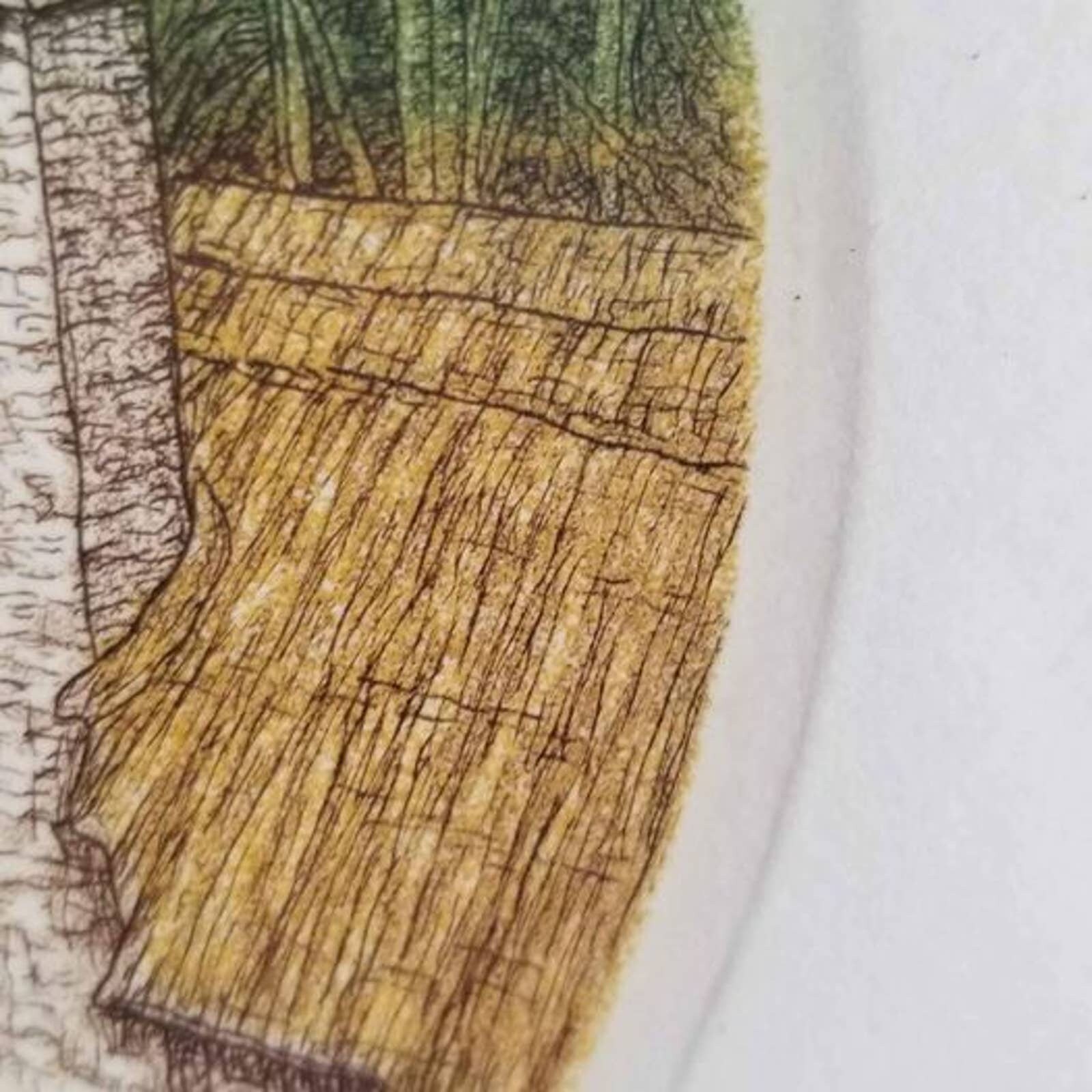 Limited Edition. Stephen Whittle Signed Numbered Etching - Etsy