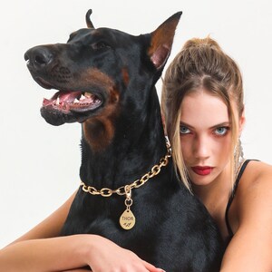 Custom Metal Dog Collar Chain Cute Pet Collar Chain Designer Dog Collar ...