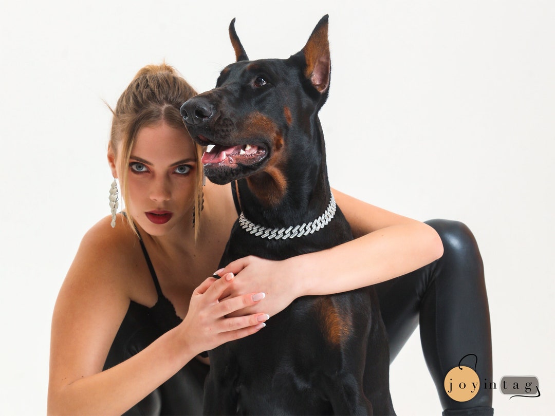 Stunning Cuban Link Dog Chain: the Perfect Dog Gift, Elegant Pet ...