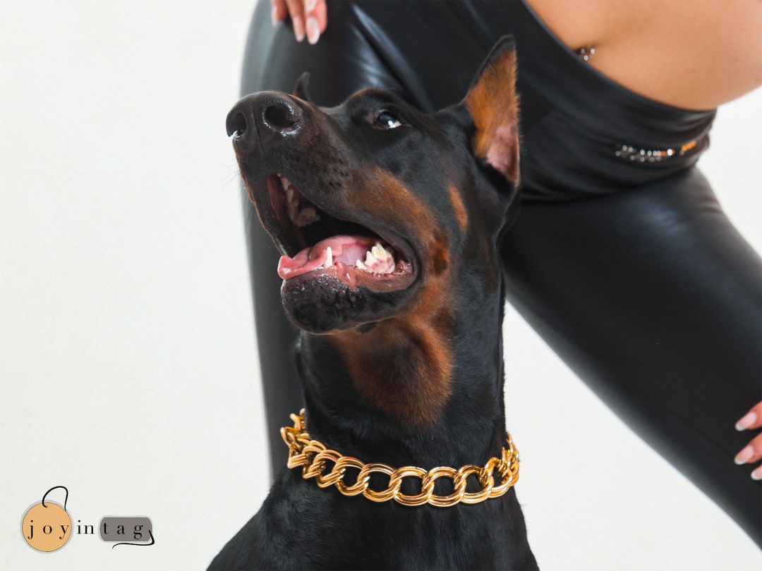 Custom Metal Dog Collar Chain Cute Dog Collar Chain Designer Pet Collar ...