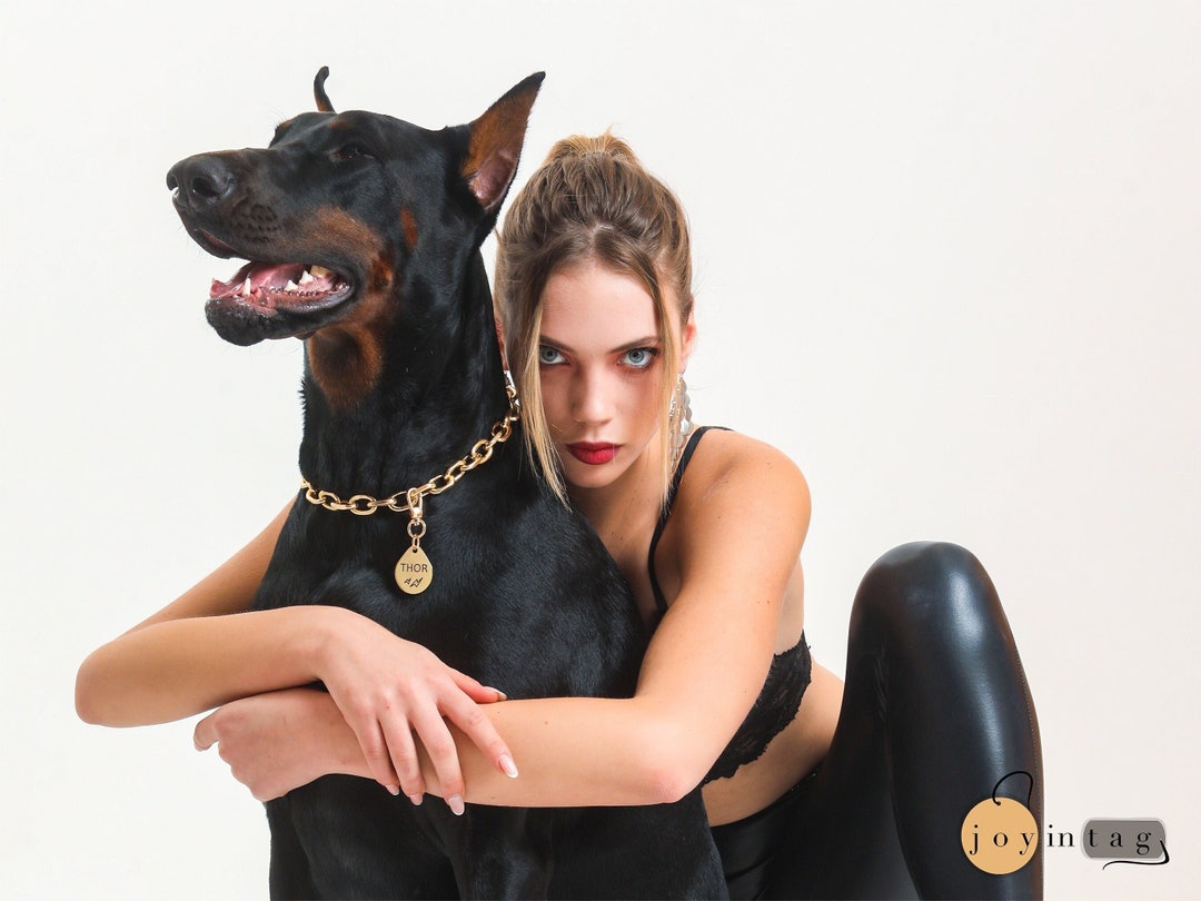 Custom Metal Dog Collar Chain Cute Pet Collar Chain Designer Dog Collar ...