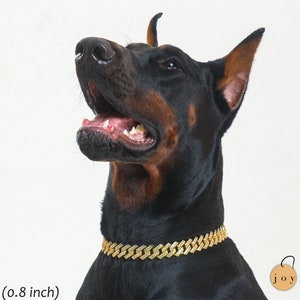 Stunning Cuban Link Dog Chain: the Perfect Dog Gift, Elegant Pet ...