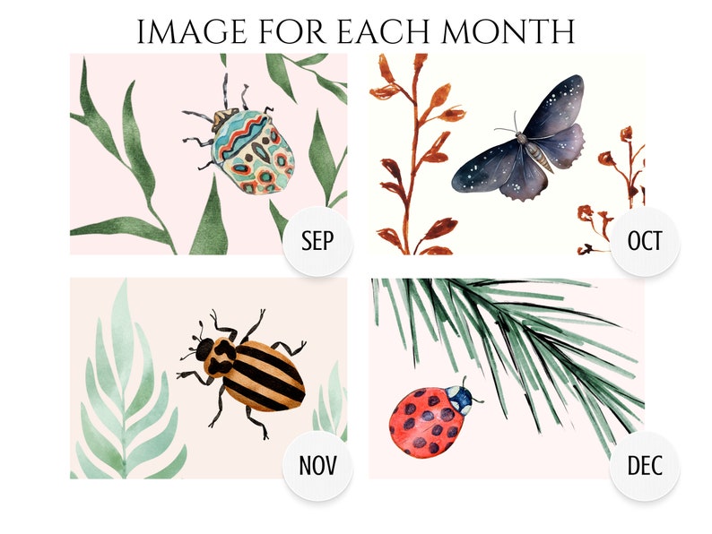 2026 Watercolor Insects Calendar for Bug and Plant Lovers • Botanical ...