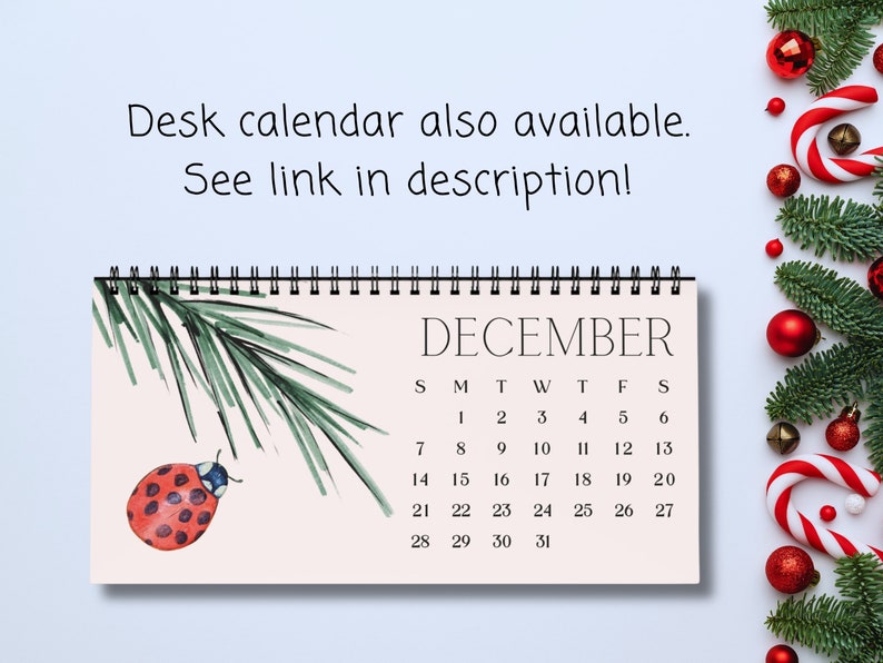 2026 Watercolor Insects Calendar for Bug and Plant Lovers • Botanical ...