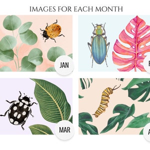 2026 Watercolor Insect Calendar • Botanical Classroom Decor - Etsy Canada
