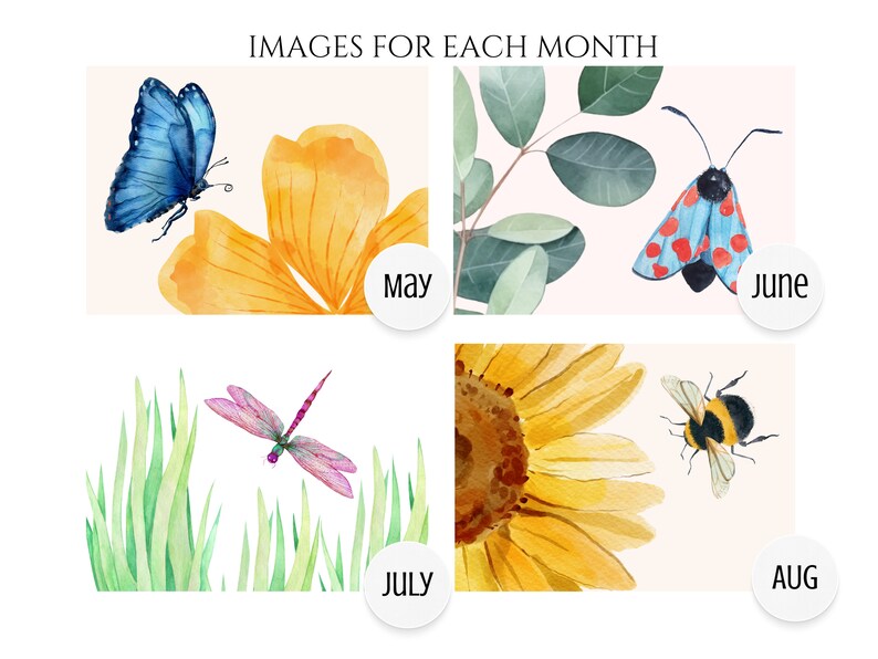2026 Watercolor Insects Calendar for Bug and Plant Lovers • Botanical ...