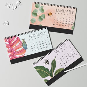 2024-2025 Watercolor Insects Desk Calendar, Student Academic Calendars ...