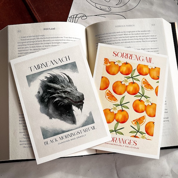 The Fourth Wing Book Nook - Etsy