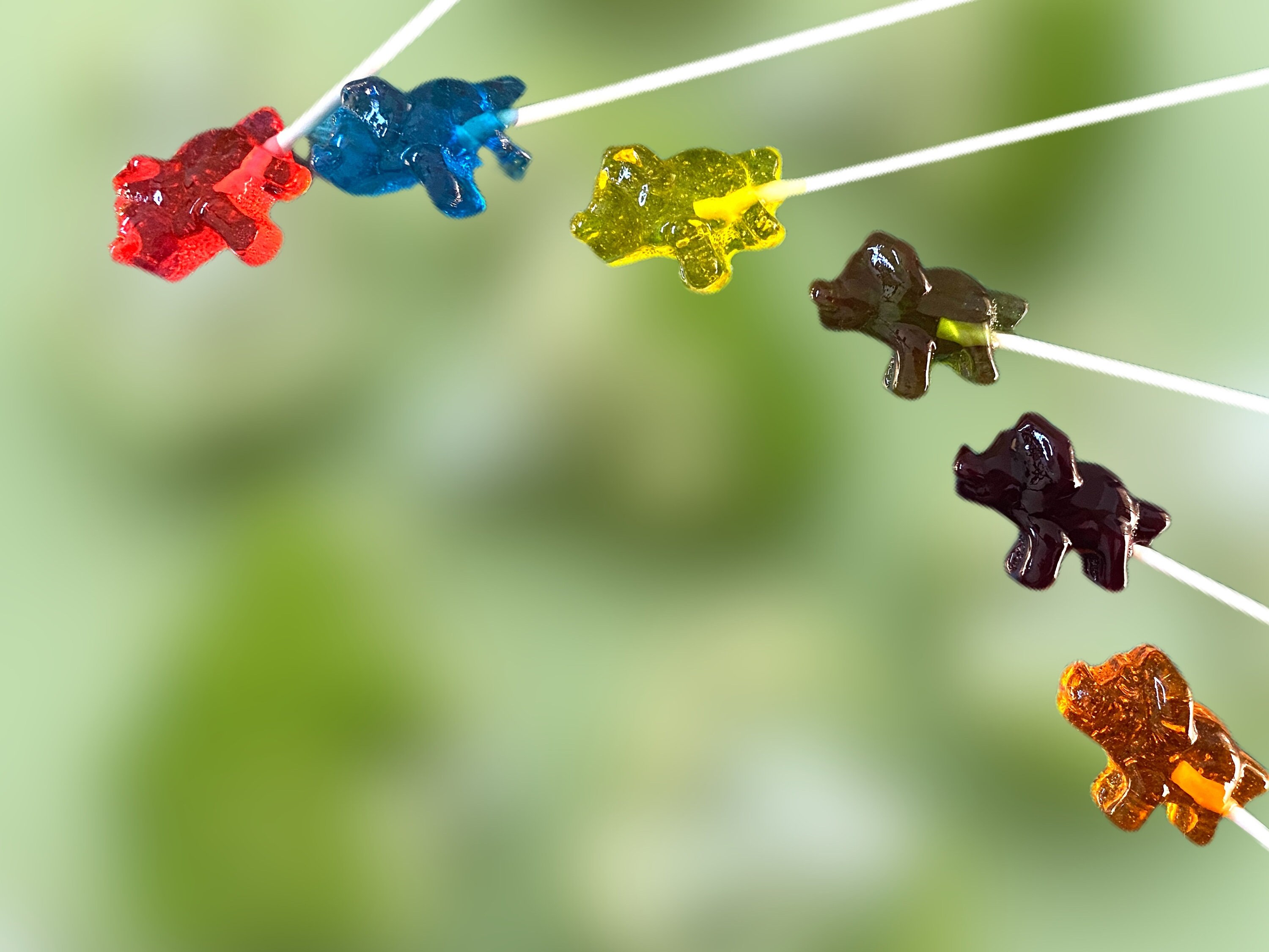 Set/16 Dino Lollipop Hard Candy Dinosaur Lollipops - Etsy
