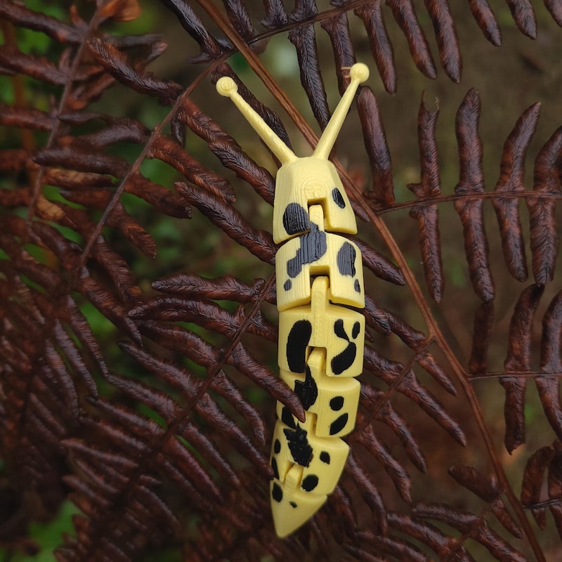Fidget Slug - Etsy
