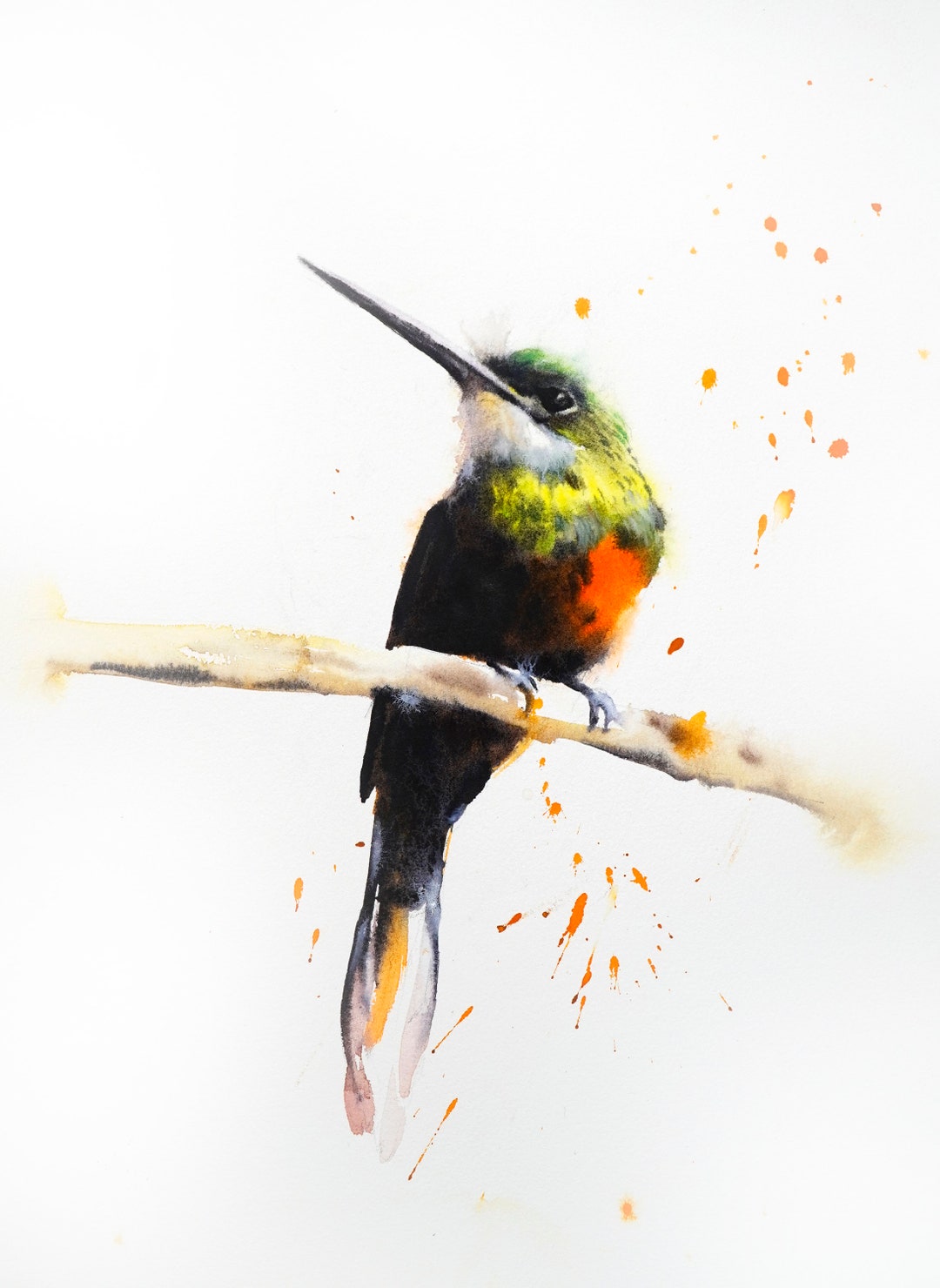 Watercolor Print, Hummingbird Watercolor, Humming Bird Painting ...