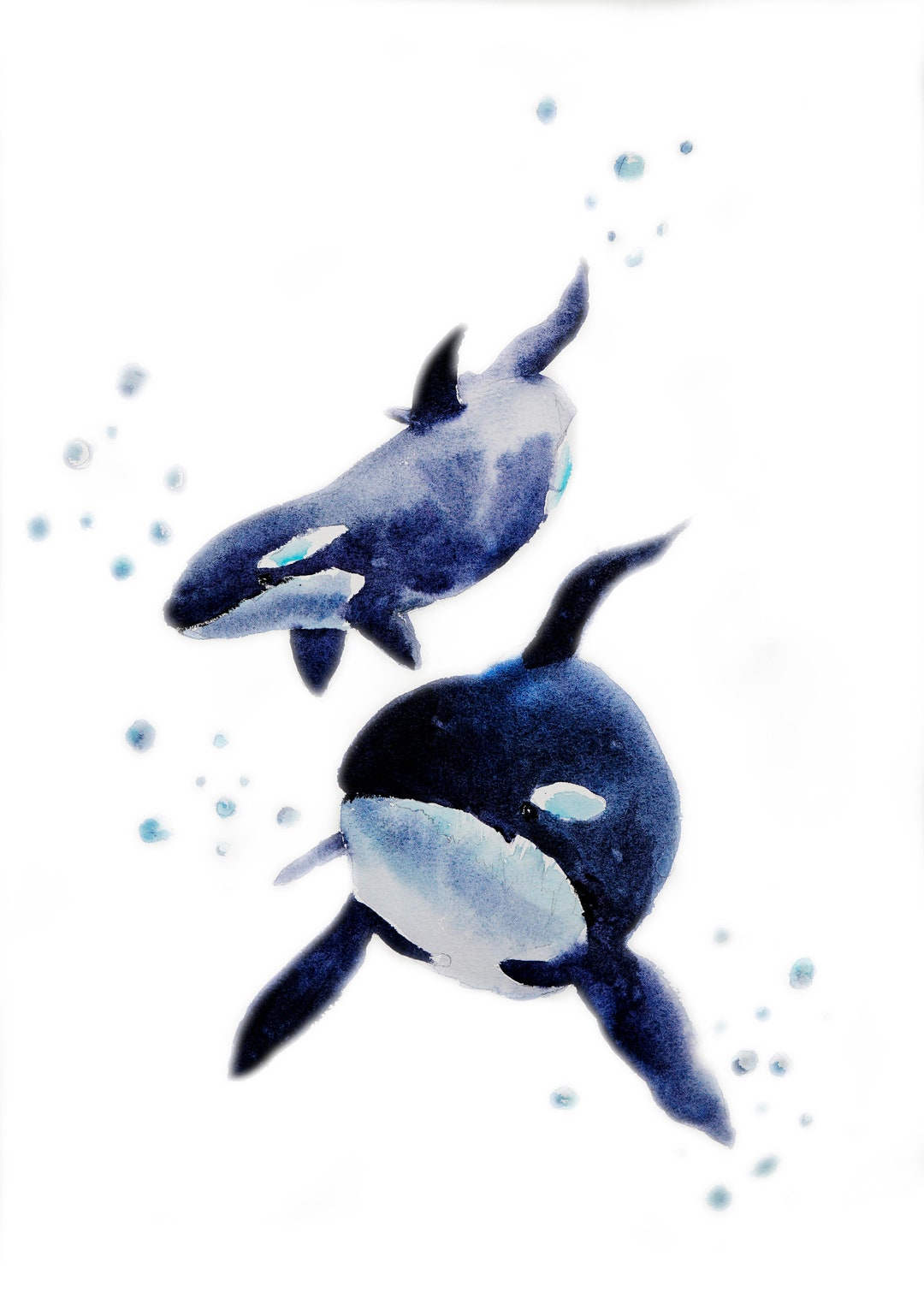 Killer Whale Couple, Watercolor Painting, Watercolor Art, Beach ...