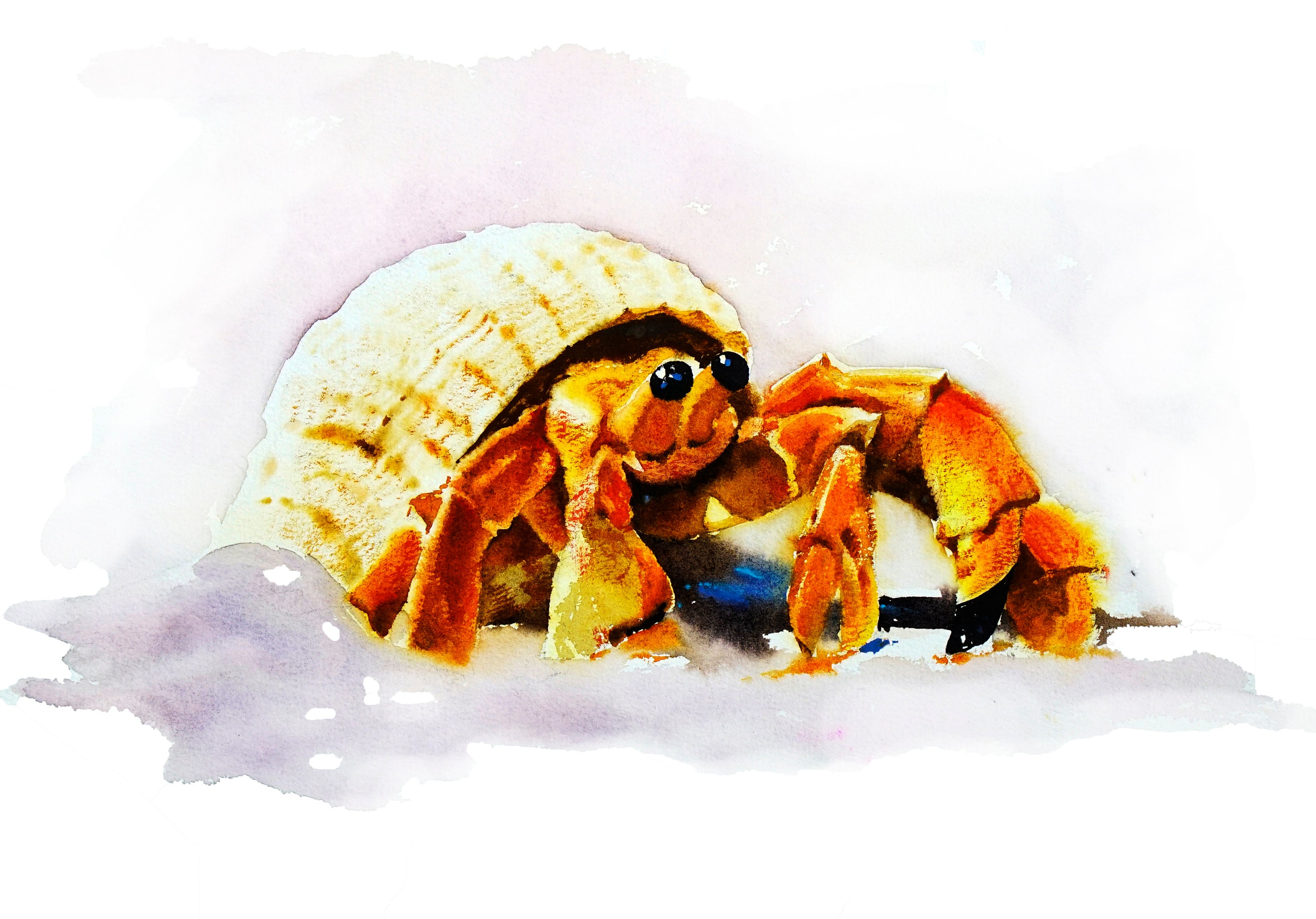 Hermit Crab Art Print, Home Decor and Gifts, Wall Art, Watercolor Crab ...