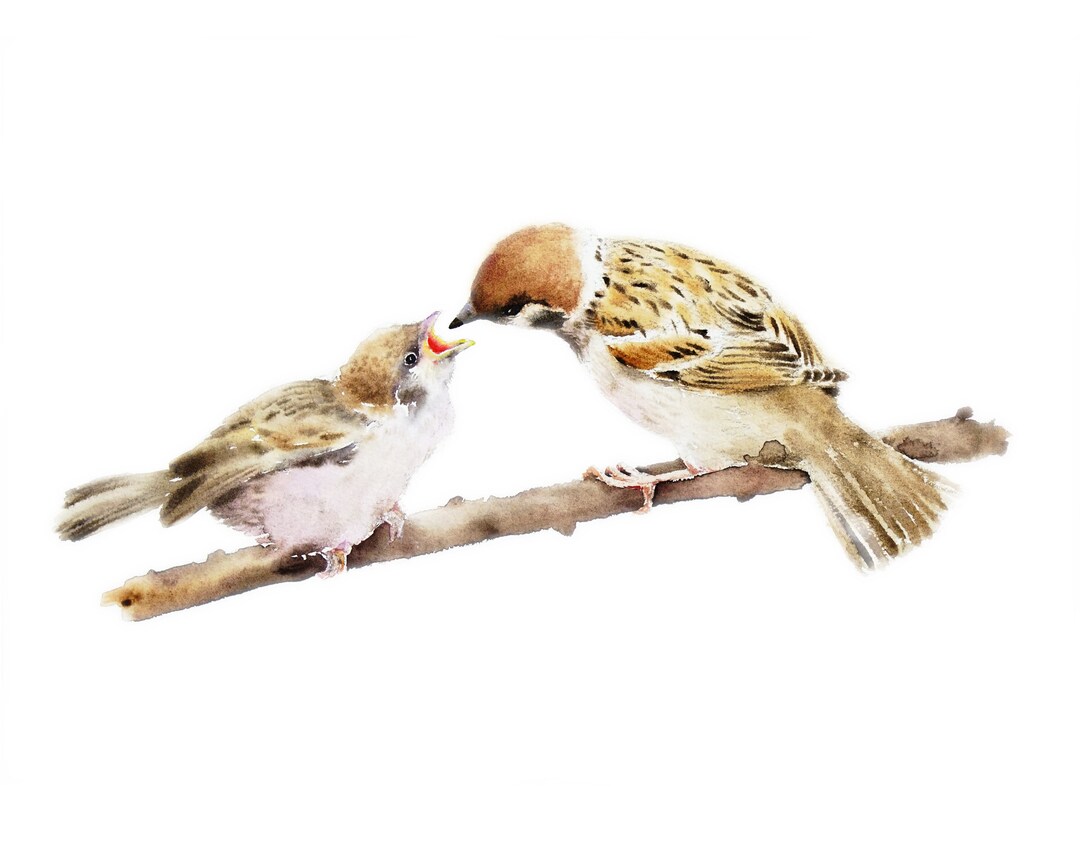Mother and Child Sparrow, Happy Mother's Day, Sparrow Watercolor ...