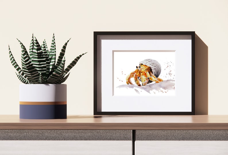 Watercolor Crab, Cute Little Hermit Crab, Hermit Crab Watercolor ...