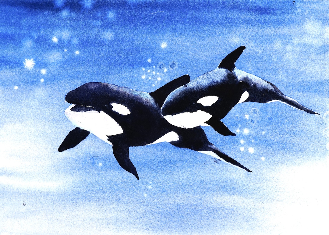 Killer Whale, Orca Painting, Whale Painting, Beach Decor, Whale Nursery ...