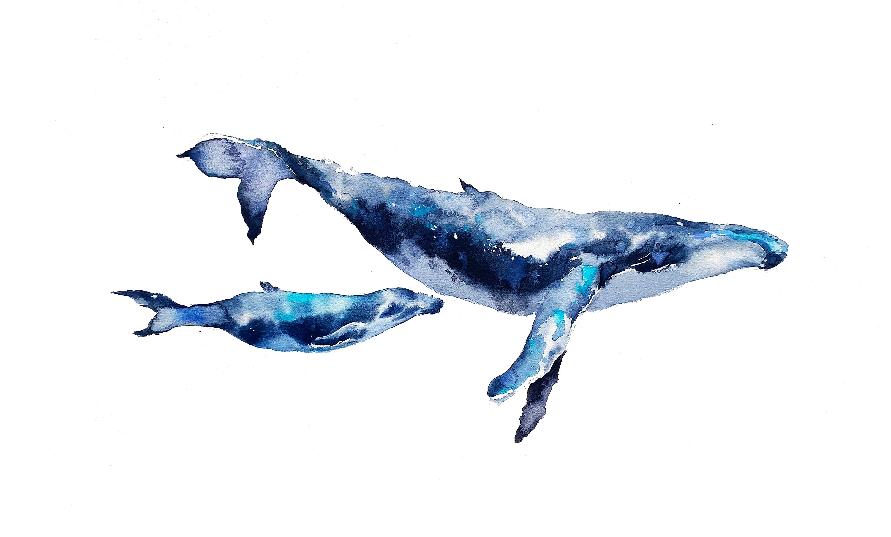 Humpback Whale Mother and Baby, Watercolor Painting, Whale Print, Whale ...