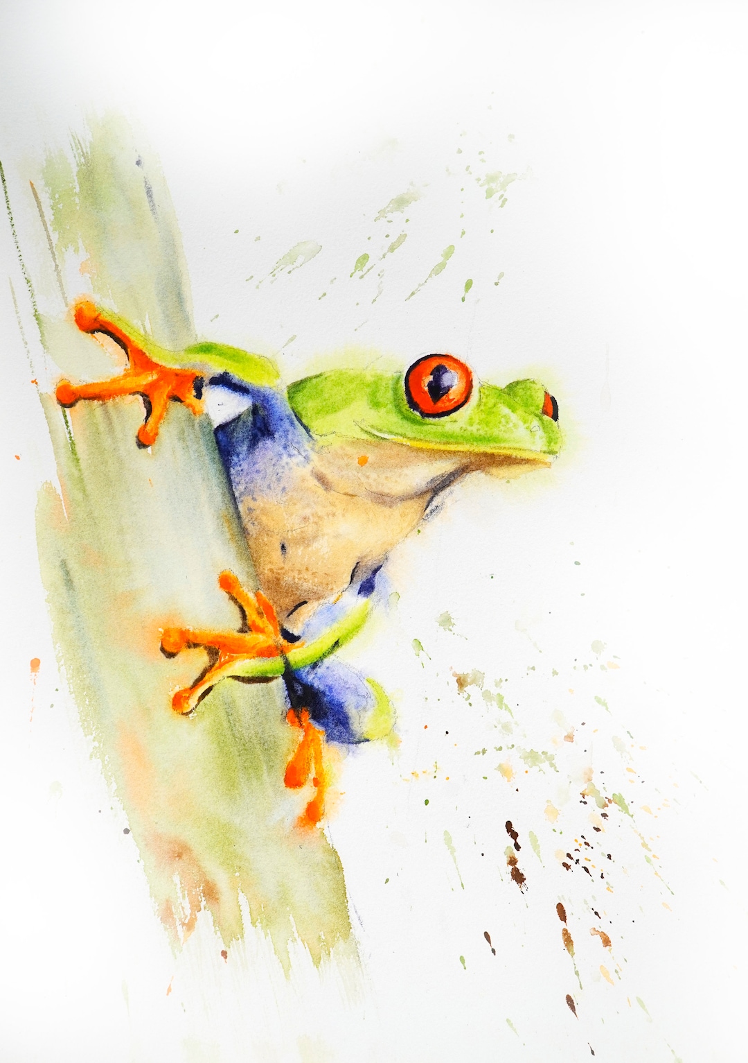 Watercolor Printing, Red Eyed Tree Frog, Fine Art Print, Frog Art Print ...