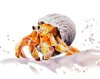 Hermit Crab Watercolor Painting Print From Original Watercolor Painting ...