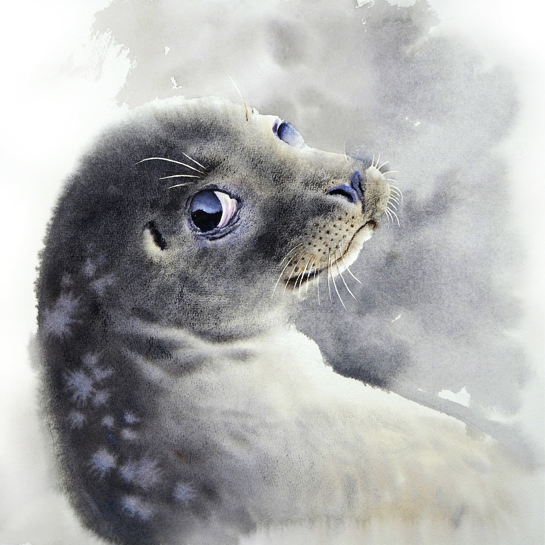 Baby Seal Painting, Gift for Seal Lovers, Wildlife Portrait, Seal ...