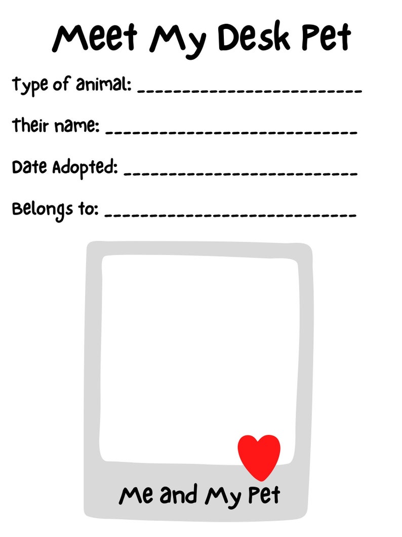 Desk Pet Starter Kit - Etsy