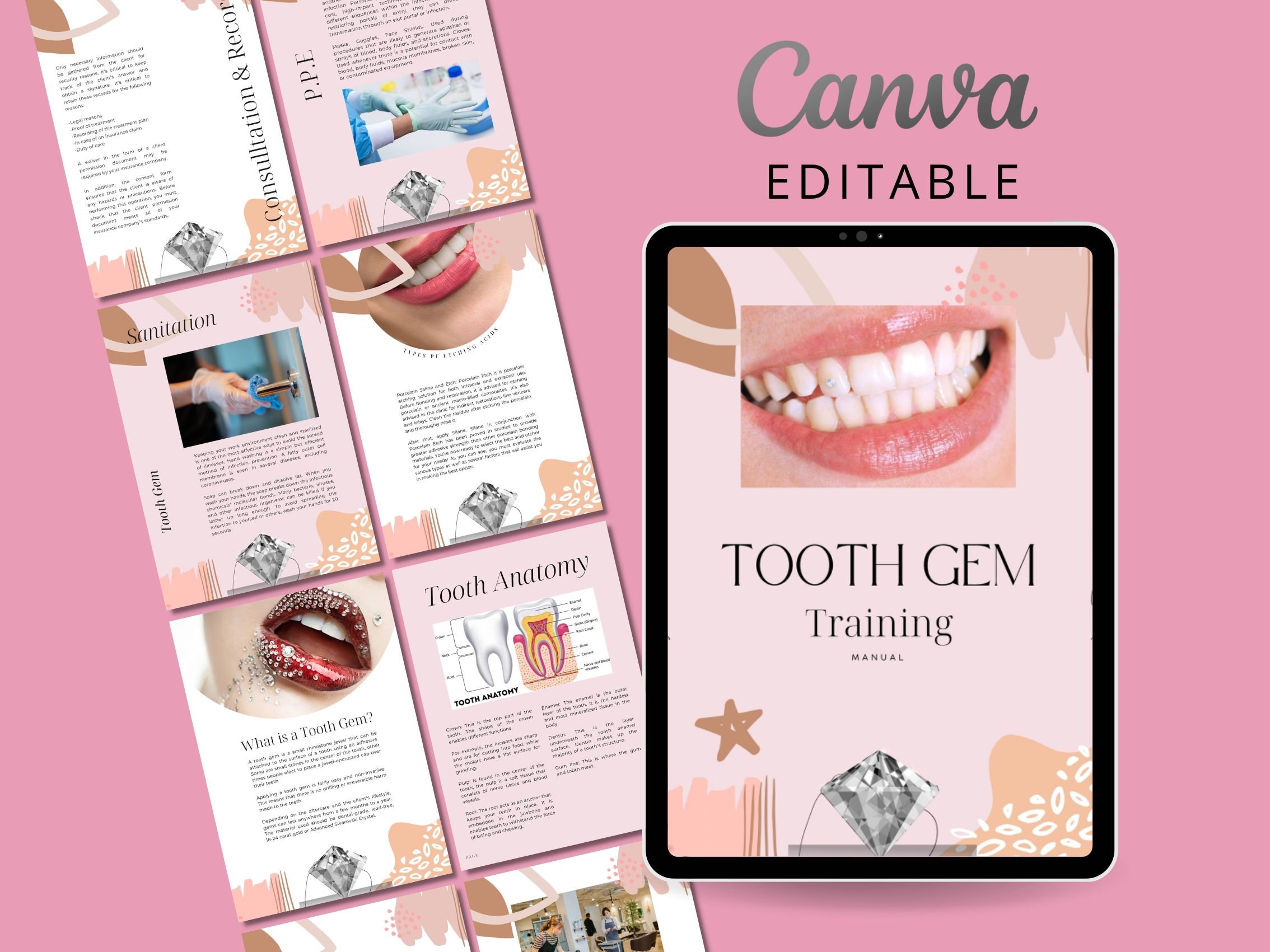 Tooth Gem Instructors Printable Training Course Manual Teeth - Etsy