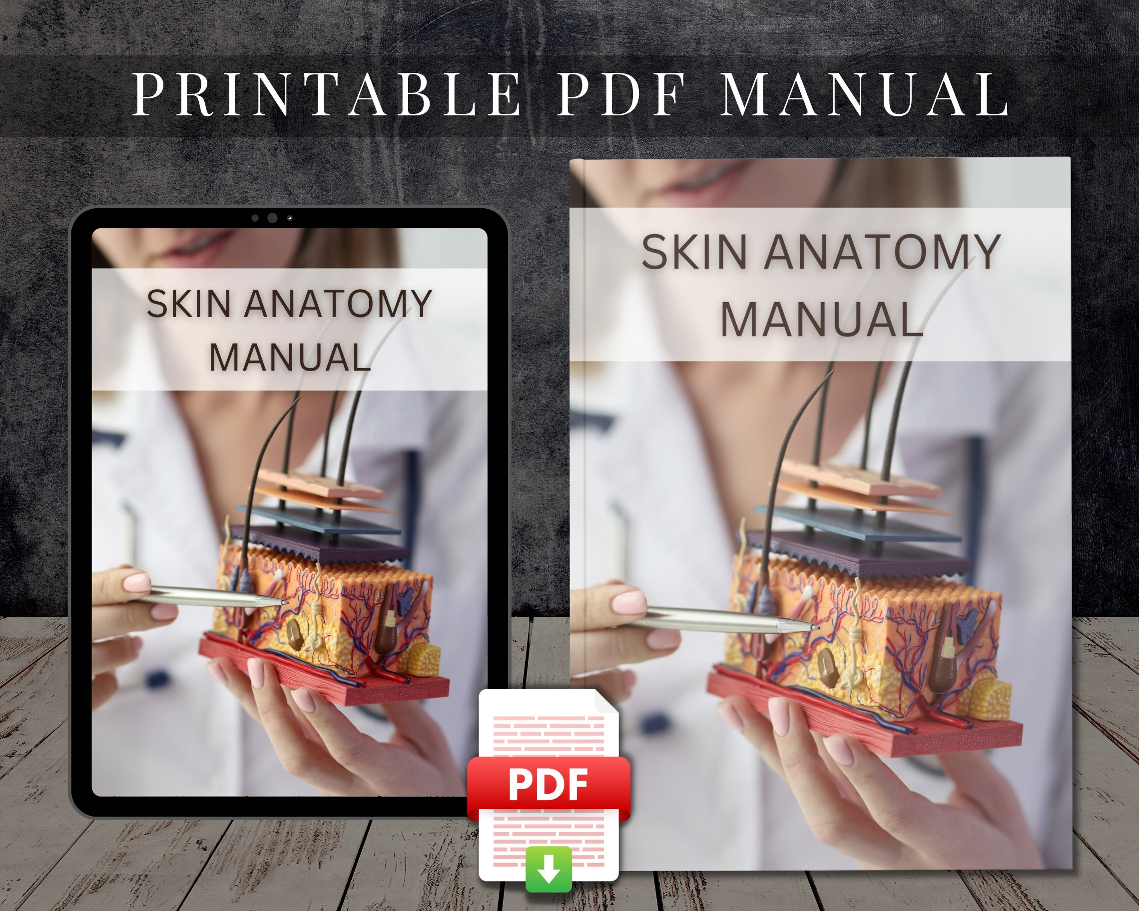 Skin Anatomy Manual Printable PDF Skin Anatomy Course Skin Anatomy ...
