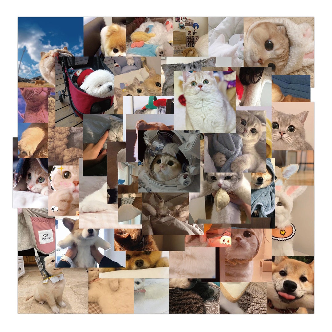 48 Stickers Cats Dogs Photo Design Cute Aesthetic Stickers Decal ...