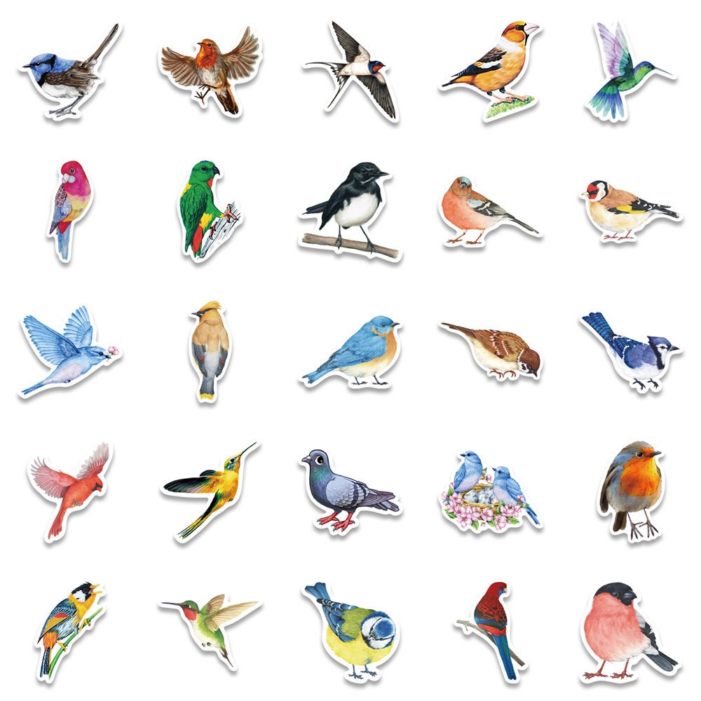 50 Stickers Birds Design Cute Aesthetic Stickers Decal Collection - Etsy