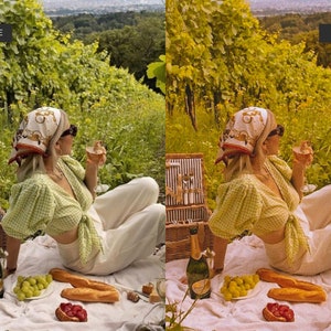 Nostalgia Presets Lightroom, Vintage Presets Instagram, Polaroid ...