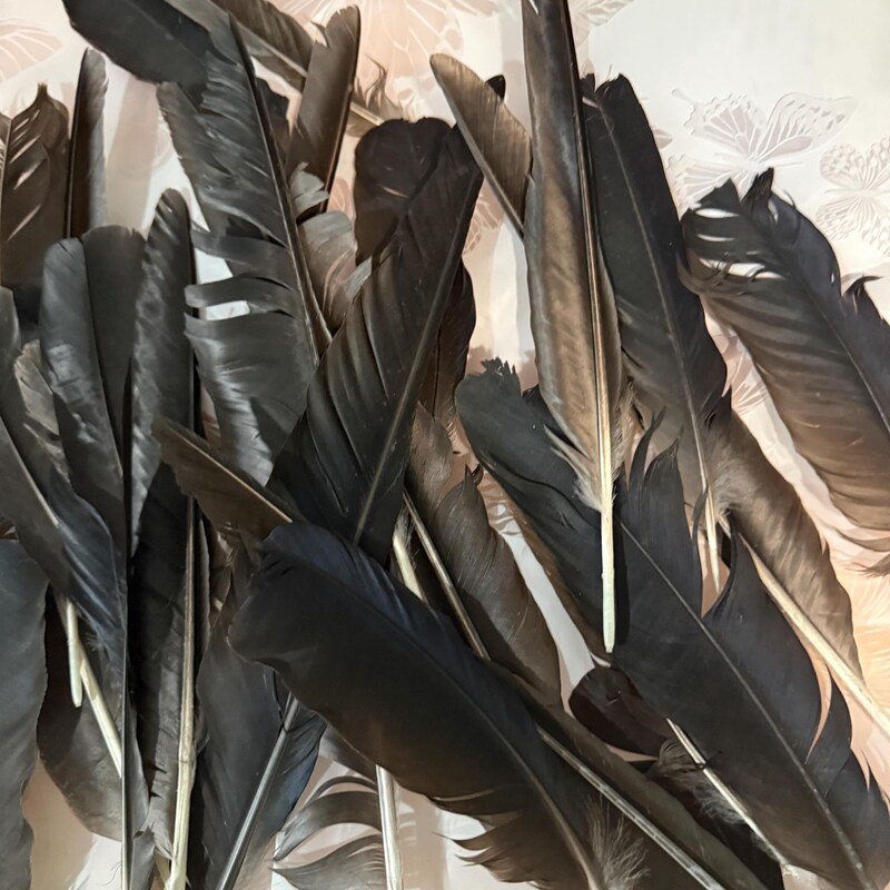 Raven Feathers - Etsy