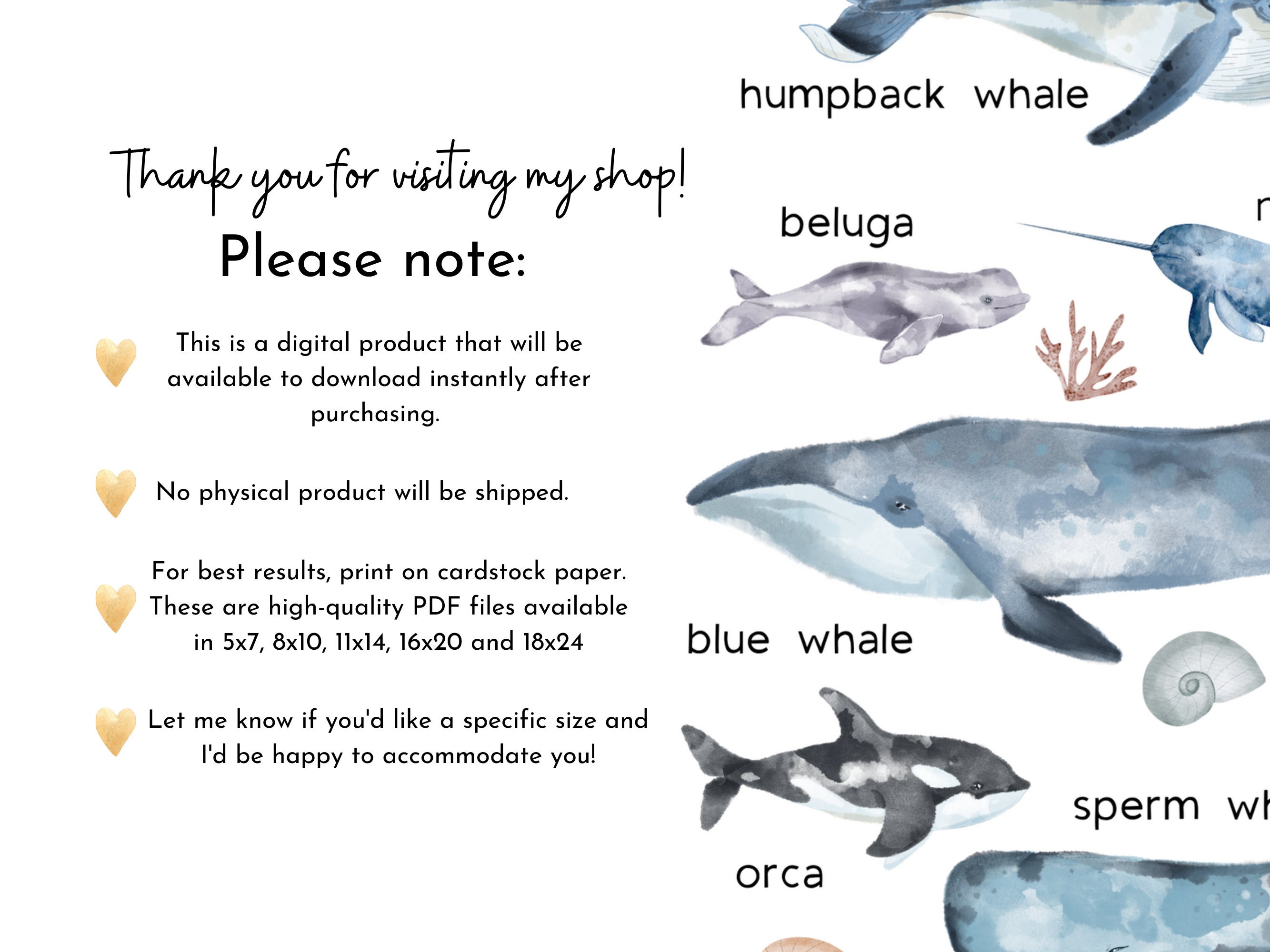 Whale Print Nursery, Whale Theme Nursery, Whale Wall Art, Nautical ...