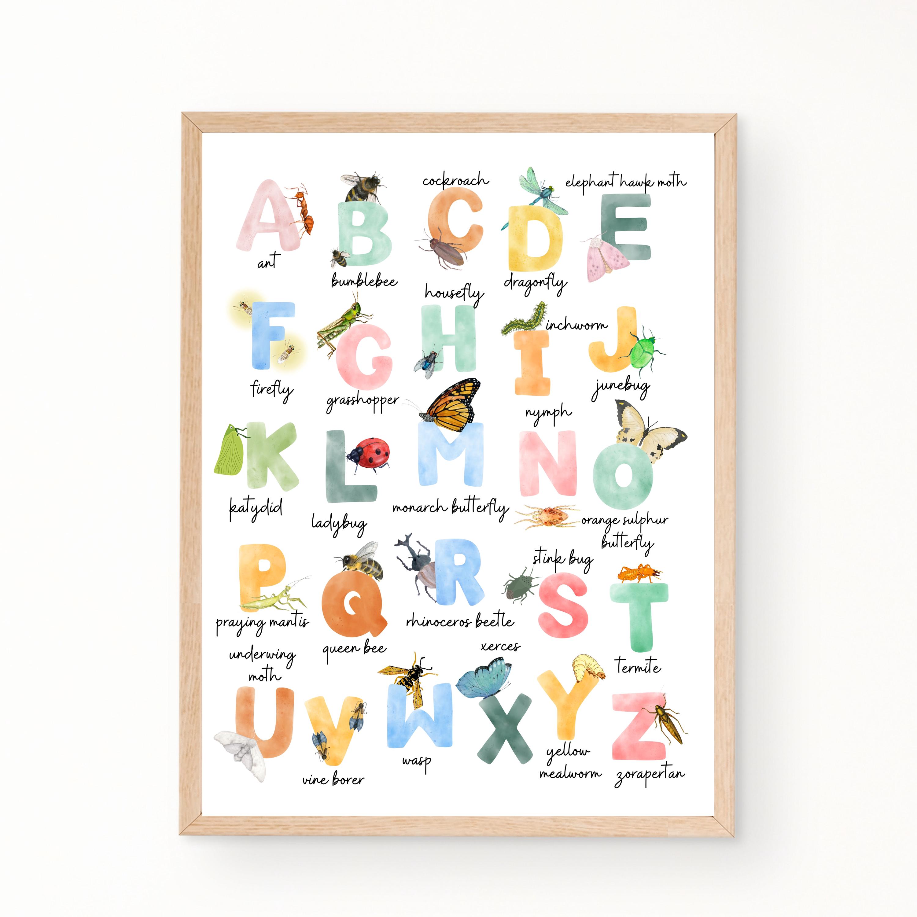 Bug Alphabet + Numbers Set, Insect ABC Posters for Kids, Nursery ...
