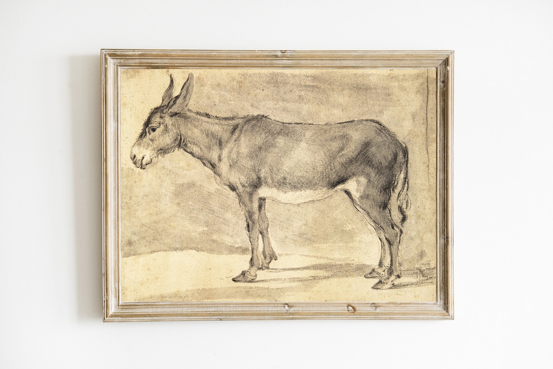 Antique Donkey Illustration | Vintage Donkey Sketch | Rustic Donkey ...
