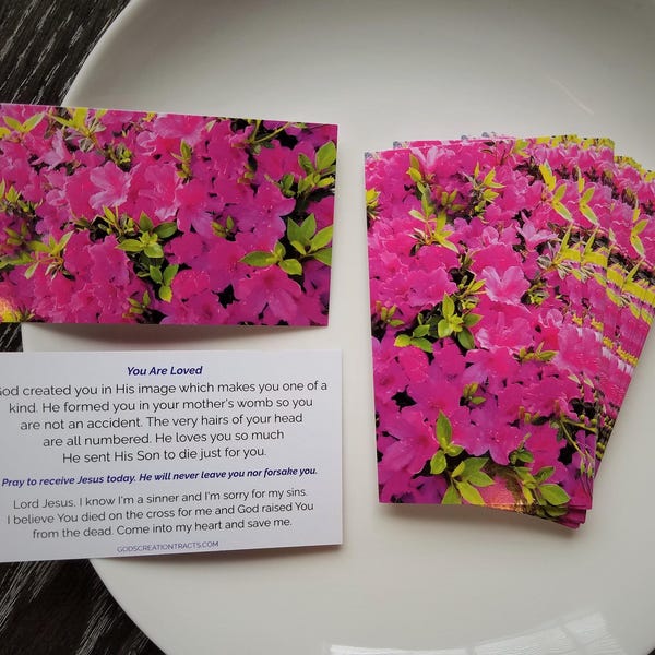 Azaleas Picture Cards - Etsy