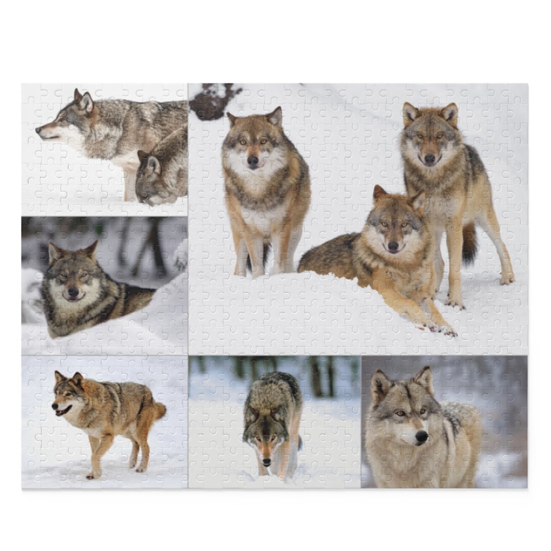 Wolf Puzzles for Adults, Wolf Jigsaw Puzzles for Adults, Wolf Jigsaw ...