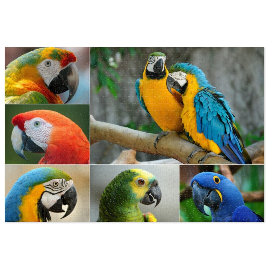 Bird Jigsaw Puzzles 1000 Pieces, Birds Jigsaw Puzzles 1000 Pieces for ...