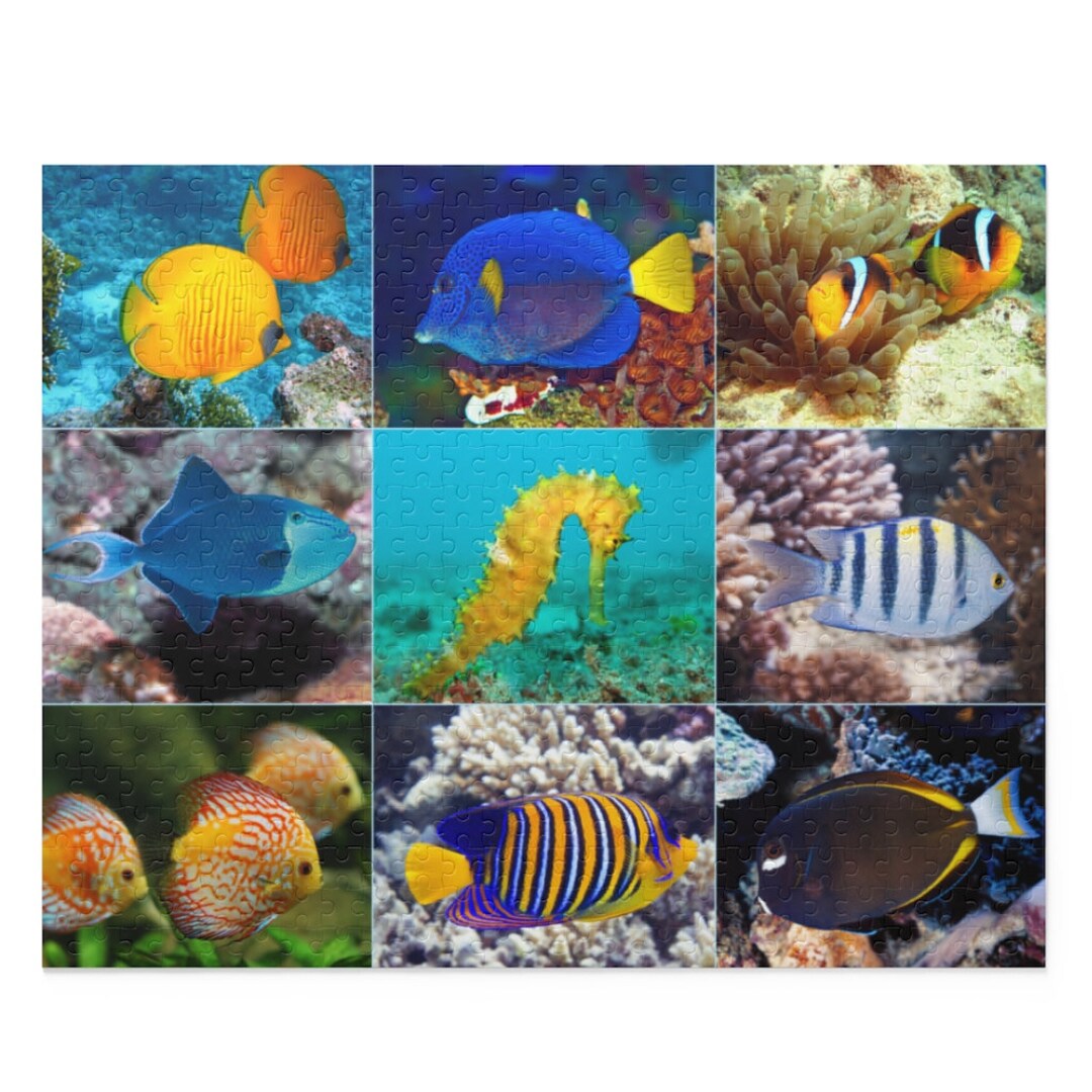 Fish Jigsaw Puzzles 500 Pieces, Fish Jigsaw Puzzle, Fish Puzzle, Five ...