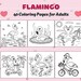 Flamingo Coloring Pages for Adults and Kids | Beautiful Flamingo and ...