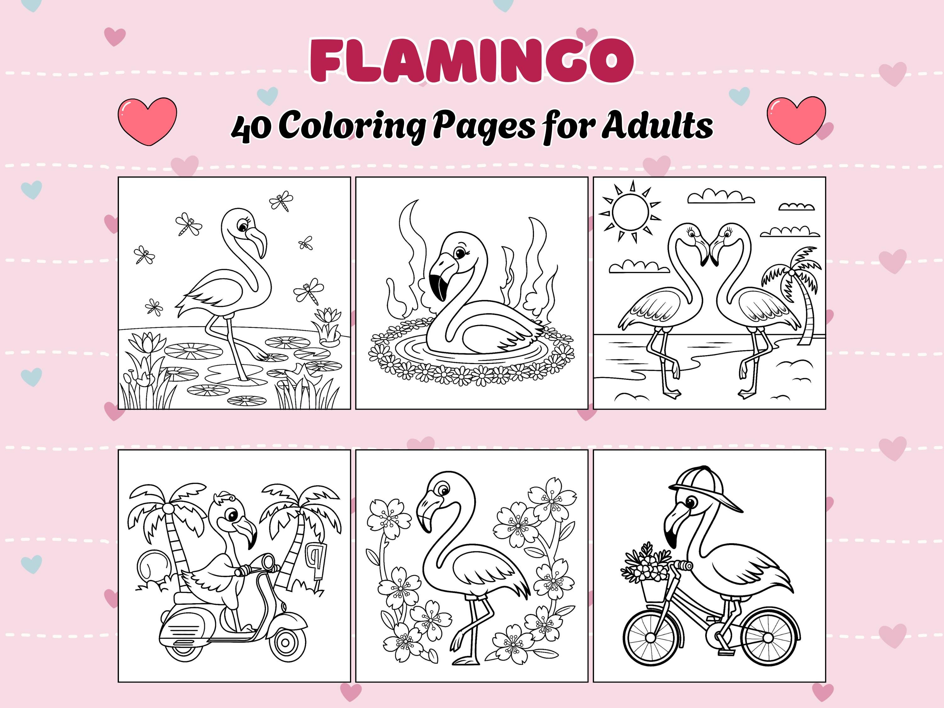 Flamingo Coloring Pages for Adults and Kids | Beautiful Flamingo and ...