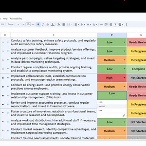 Corrective Action Plan Excel Template CAP Tool for Project Management Business Issue Resolution ...